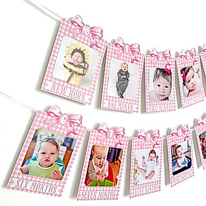 Pink Bow Photo Banner,First Birthday Decorations for Girl,Newborn to 12 Months Photo Banner,1st Birthday Milestone,First Year Photos,Baby Shower