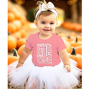 Olive Loves Apple First Birthday Terms Shirts for 1st Bday Outfit for Baby Boys and Girls White on Mauve Shirt 18 Months