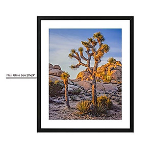 A PLUS MAX 20x24 Picture Frame, Black 20x24 Frame for 16X20 Photo (20x24 without Mat), Hangers for Horizontal or Vertical Display, Pack of 2