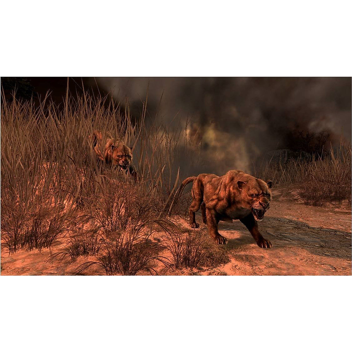Cabela's Dangerous Hunts 2011 - Xbox 360 (Renewed)