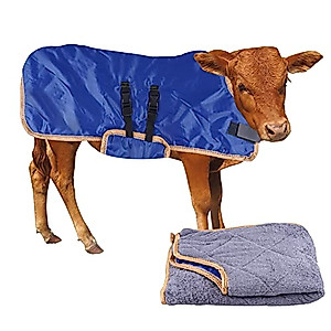 2 of Calf Blanket Winter Adjustable Calf Coat Waterproof Oxford Fabric with Belly Band for Farm Livestock