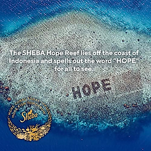 Sheba Treats Meaty Tender Sticks Soft Cat Treats Chicken Flavor, 0.14 oz, 5 Count (Pack of 10)