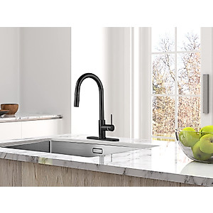 AguaStella AS60MB Matte Black Pull Down Kitchen Faucet and ASD52MB Matte Black Deck Plate Combination