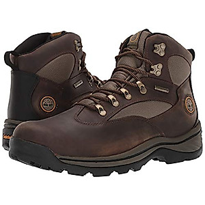 Timberland Men's Chocorua Trail Mid Waterproof Snow Shoe, Brown/Green, 10 D - Medium