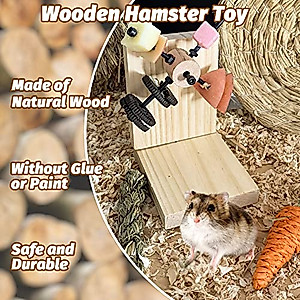 BNOSDM Wooden Foraging Toy for Small Animals Hamster Enrichment Foraging Toys Interactive Spin Guinea Pig Puzzle Toy for Dwarf Hamster Guinea Pig Chinchilla Rat Rabbit Chinchilla Bunny
