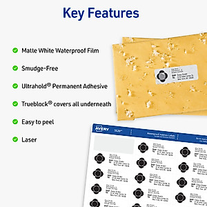 Avery Waterproof Address Labels with Sure Feed & TrueBlock 1" x 2-5/8", 1,500 White Laser Labels (5520)