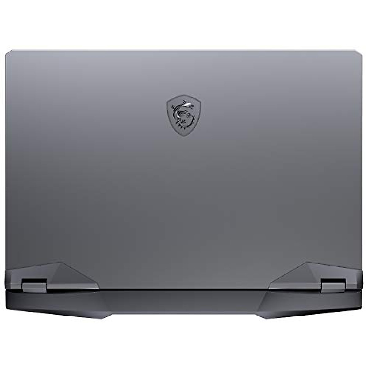 MSI GE66210 GE66 Raider 15.6" 300Hz 3ms Gaming Laptop Intel Core i7-10870H RTX3080 32GB 1TB NVMe SSD Win10 VR Ready