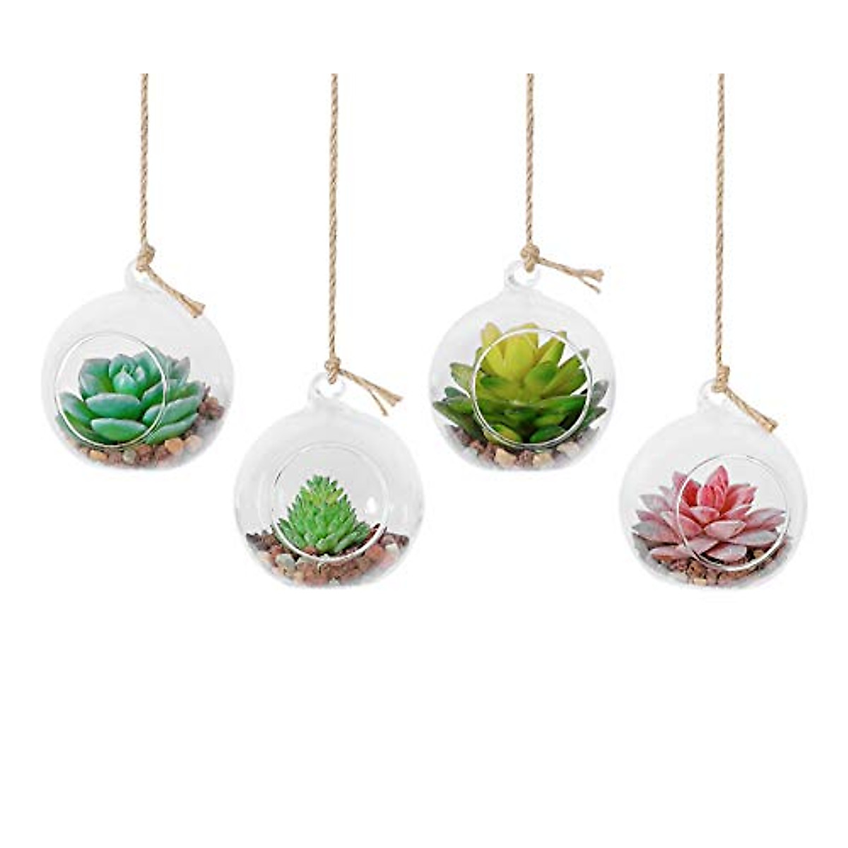 TQVAI 4 Pack Hanging Glass Globe Air Planter Terrarium Vase with 39 inch Sling (Not Included The Plants)