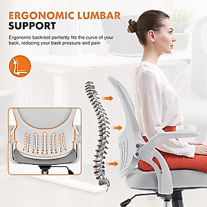 Office Chair Ergonomic Home Office Desk Chairs, Breathable Mesh Back Lumbar Support Computer Chair, Adjustable Height Swivel Task Chair with Flip-up Arms & Wheels, Grey