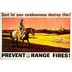 Smokey Bear, Prevent Range Fires, Vintage Poster (9x12 Wall Art Print, Home Decor)