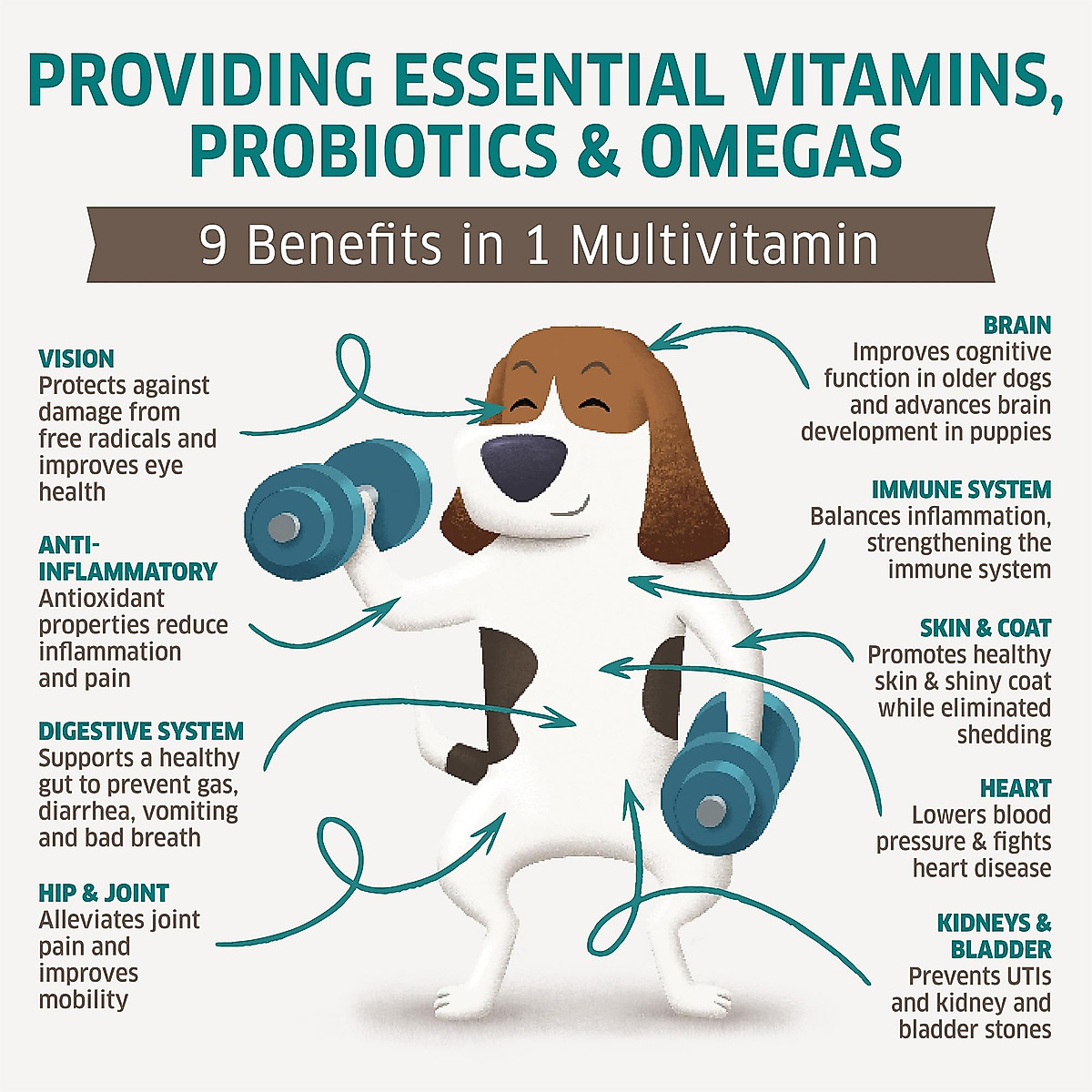 Dog Multivitamin - Dog Vitamins and Supplements - Digestive Enzymes & Probiotics - Probiotics for Dogs - for Skin and Coat Allergies - Immune System & Overall Health - 120 Soft Chew Dog Treats