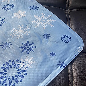 Iproods Cooling Sleeping Mat Set with 1 Pillow Cushion, Cooling Mattress Pad for Summer Hot Sleepers, Also Suitable for Camping Mattress and Sofa Cooling Seat Cushions (19.69 * 59.06 inches)