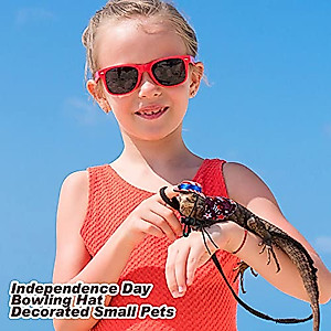 4 Pcs 4th of July Bearded Dragon Hats Lizard Bandanas Lizard Bowler Hat and Scarf, Independence Day Guinea Pig Clothes Independence Day Bearded Dragon Clothes Accessories for Reptile Lizard Gecko