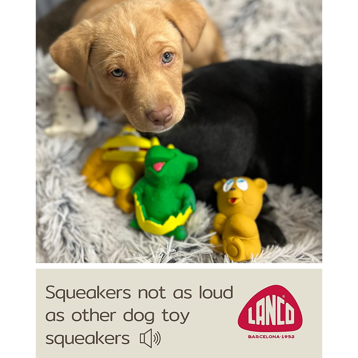 Set 5 Extra Small Squeaky Toys for Dogs Small Breeds Puppy Tiny Dogs Natural Rubber (Latex) Freem from Harmful Chemicals Hanpainted (Toys May Vary)