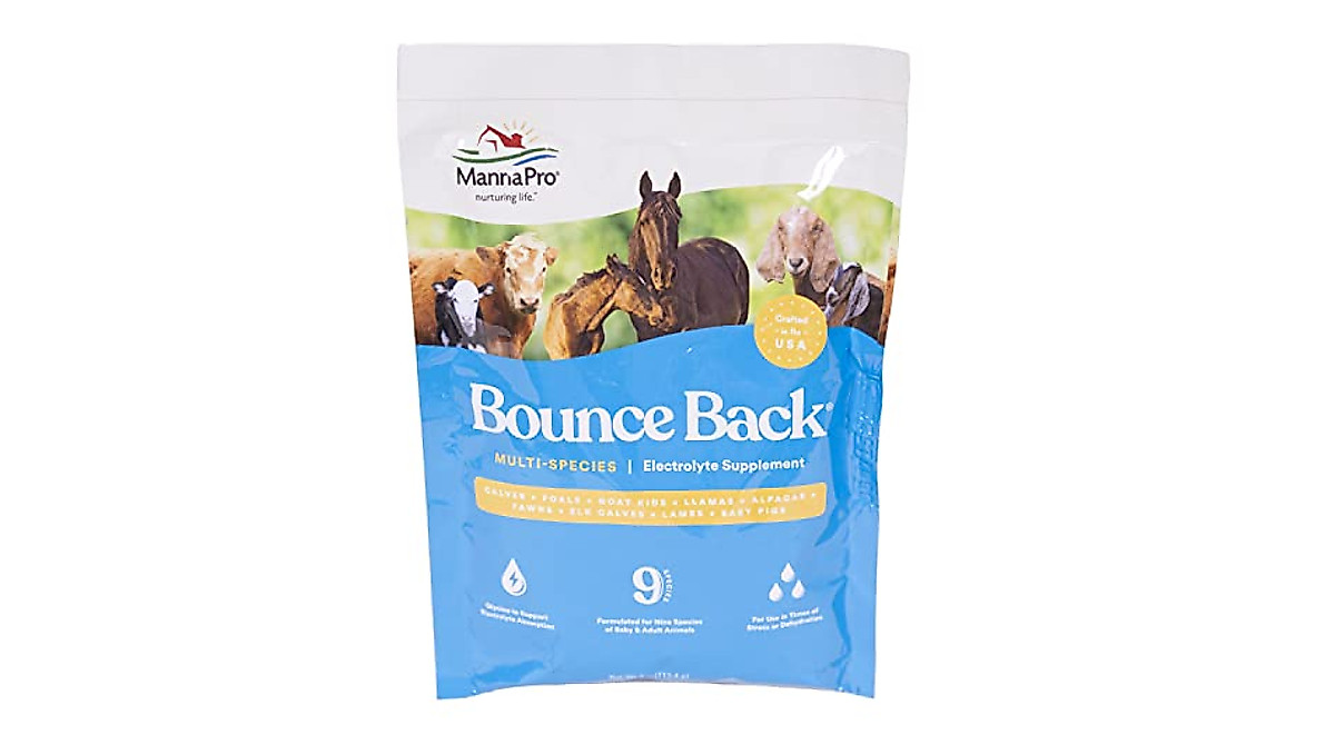 Manna Pro Bounce Back: Multi-Species Electrolyte 4 oz