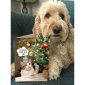 Brainbox Candy - Rude Christmas Card - 'I'mma F*ck You Up' - Cheeky Xmas Cards - Funny Seasonal Humour Cards - Rude Cat Themed Christmas Card - Cheeky Cat Xmas Card - For Cat Lovers