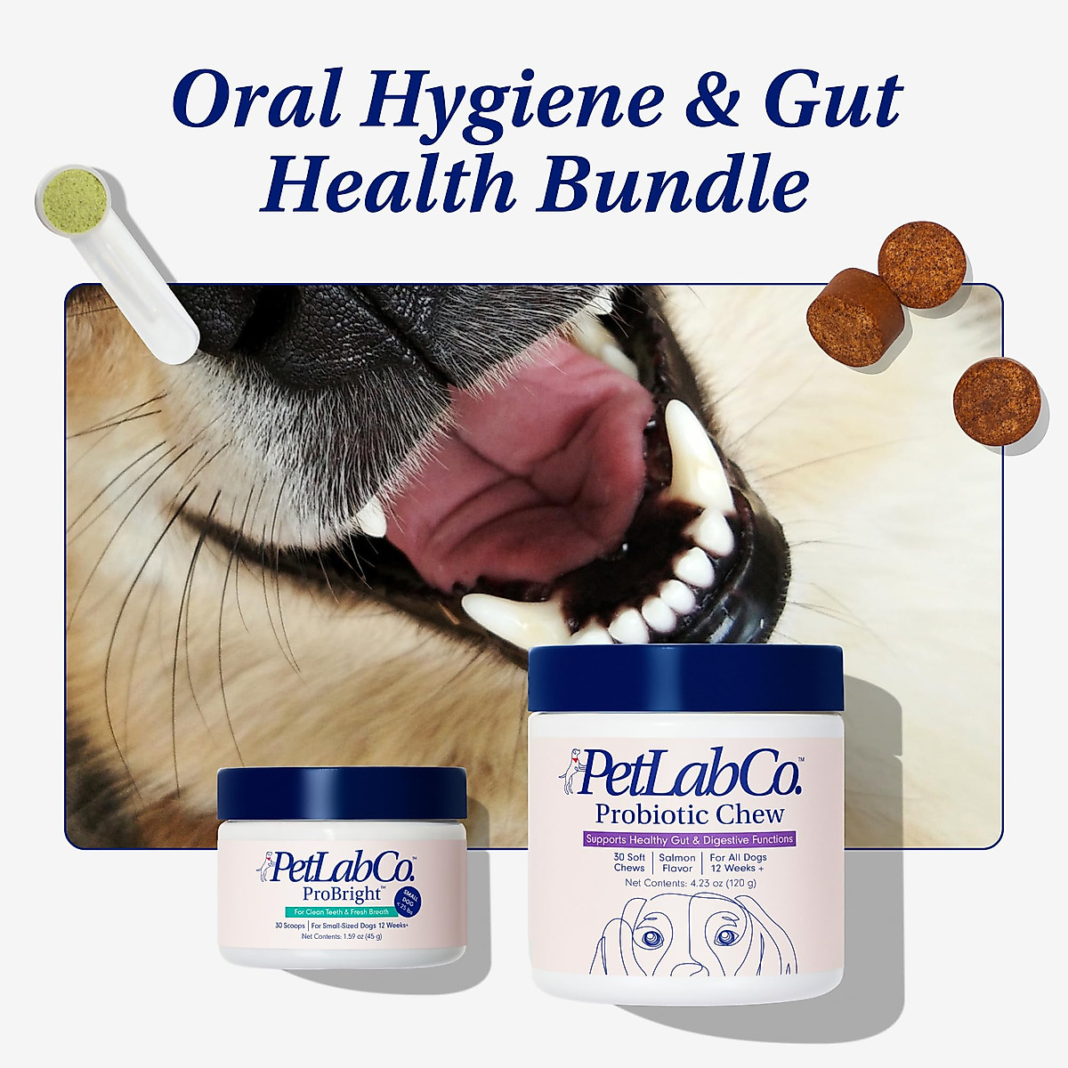 PetLab Co. – Oral Hygiene & Gut Health Bundle: Dental Powder for an Effortless Clean in 1 Scoop for Small Dogs & Probiotics for Dogs Supporting Gut Health & Seasonal Allergies