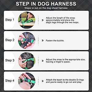 BEAUTYZOO Step in Dog Harness Collar and Leash Set for Small Medium Large Dogs, No Pull No Choke Puppy Harness, Soft Mesh Reflective Pet Padded Vest Adjustable for Doggie Girl or Boy,French Bulldog