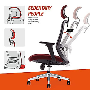EGOSI Ergonomic 4D Armrest Office Chair Adjustable Desk Chair with Sliding Seat, High Back Mesh Computer Chair with Adjustable Lumbar Support,Headrest, Swivel Home Office Desk Chair, (Red Mesh)