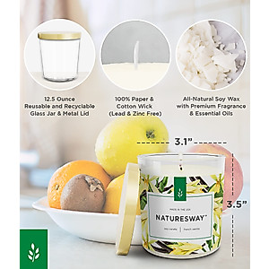 Stillwater Bath and Body™ Naturesway™ French Vanilla Odor Eliminating Scented Candle for Home - Non-Toxic, Long Lasting, All Natural Soy Wax Candle - 12.5 Ounce Jar with Lid - Hand Made in The USA