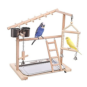 Bird Playground Birdcage Playstand Parrot Play Gym Parakeet Cage Decor Budgie Perch Stand with Feeder Seed Cups Ladder Hanging Swing Chew Toys Parakeets Conures Macaw Cockatiel Finch
