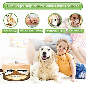 Flea Traps for Inside Your Home,Sticky Flea Trap,Flea Treatment with Light Refills and Sticky Pads,Electronic Flea Light Trap for Indoor,Flea Bombs for Home,Flea Killer for Home (Beige, 2 Pack)
