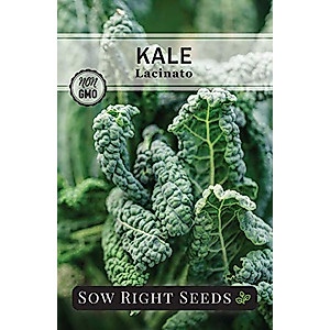 Sow Right Seeds - Kale Seed Collection for Planting - Non-GMO Heirloom Packet with Instructions to Plant and Grow a Home Vegetable Garden, Great Gardening Gift