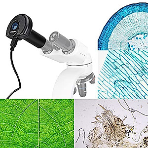SVBONY SV189 Microscope Digital Camera, 1.3 Million Pixel USB2.0 Microscope Accessories, Suitable for Microscope Color Photography and Video