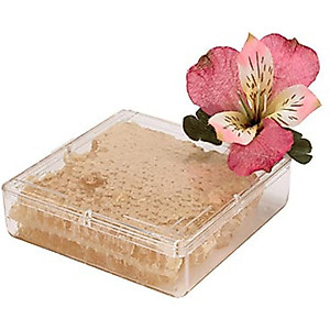 Pioneer Plastics 091C Clear Square Plastic Container, 4.3125" W x 4.3125" D x 1.125" H, Pack of 12