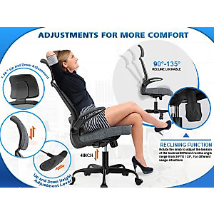 Ergonomic Office Chair, Home Office Desk Chair with Adjustable Headrest & Lumbar Support. High Back Mesh Computer Chair with Thickened Cushion &Flip-up Armrests, Task Executive Chair (Graphite)