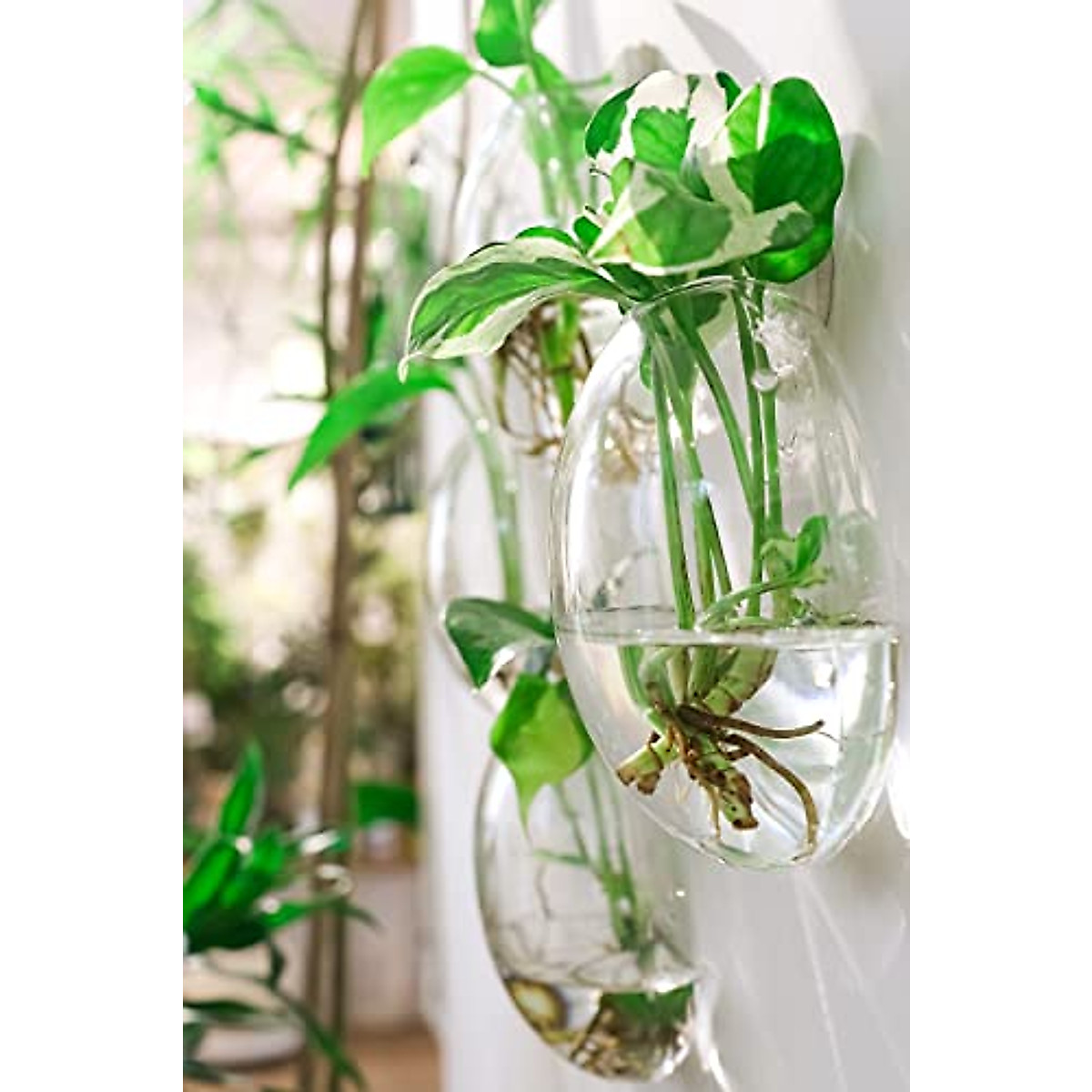 Ivolador Wall Mounted Plant Terrariums Oblate Hanging Glass Propagation Station Container for Propagating Hydroponic Plants Home Garden Wedding Décor