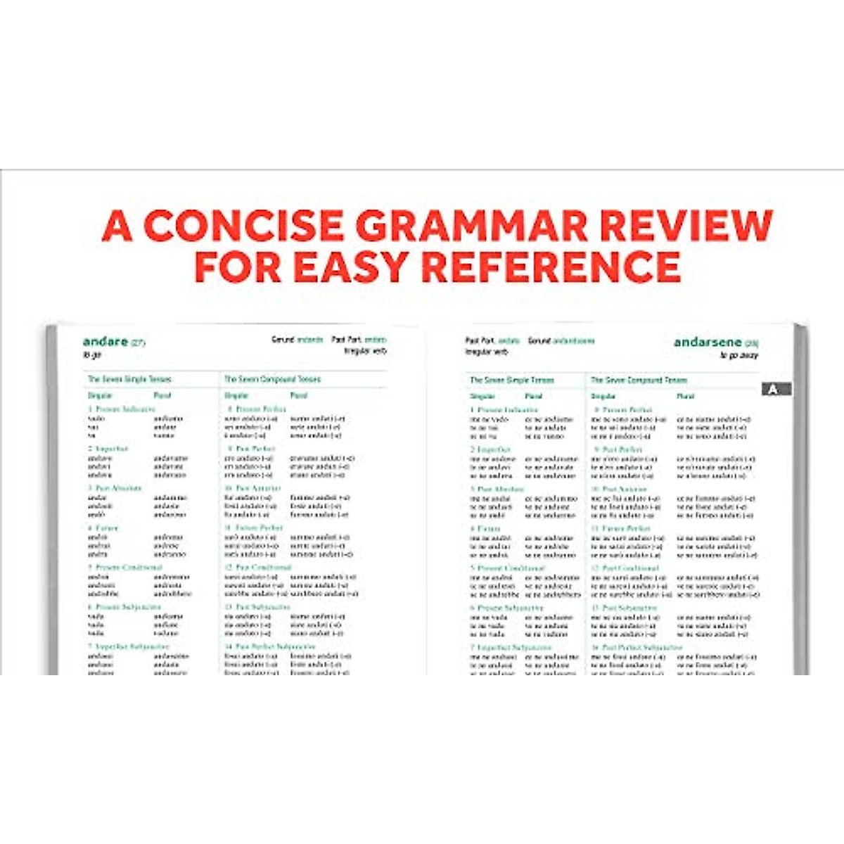 501 Italian Verbs, Fifth Edition (Barron's 501 Verbs)