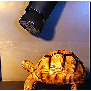 50w Reptile Heat Lamp Bulb 2 Pack, Pet Infrared 50 Watt Ceramic Heat Emitter for Brooder Coop, Lizard, Lambs, Snake, No Light, Black