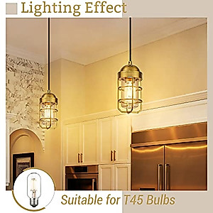 Emliviar Modern Gold Pendant Light with Metal Cage, Mini Ceiling Hanging Light with Clear Tempered Glass for Kitchen Dining Room, Gold Finish, GE255P BG