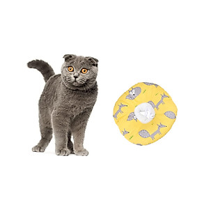 2pcs Dog Elizabeth Collar Cone for Cats Dog Collars for Medium Dogs Elizabethan Pet Collar Red Cat Collar Cat Collar Soft Cone for Dogs Choker Creative Cat Collar Soft Cute The Cat