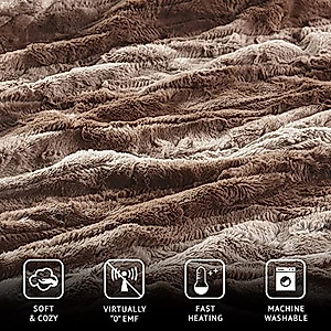 Beautyrest Zuri Reversible Faux Fur to Mink Electric Blanket, Auto Shut Off, Virtually Zero EMF, Multi Heat Setting, UL Certified, Machine Washable, Tan Tip Dye Throw 50x70"