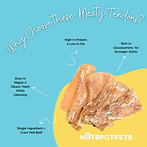 hotspot pets Beef Tendon Chews for Dogs - 6 Inch All Natural, Free-Range, Grass-Fed Premium Backstrap Tendon Dog Chews Treats