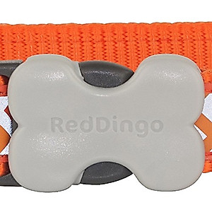 Red Dingo Reflective Ziggy Dog Collar, Small-Medium, Orange