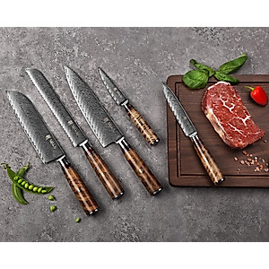 Wakoli Knife Block Sets, 5 Pieces Chef Knife Set with Block - Damascus Kitchen Knife Set with Magnetic Knife Block, Professional Kitchen Knife Block Set with Sycamore Wood Handles (Culinary Sycamore)