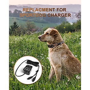 Replacement for SportDog 5V Charger for Sportdog Charger Replacement Charger SD-425, SD-425S, SD-425CAMO, and SD-825 Collar Receiver and Remote Trainer…