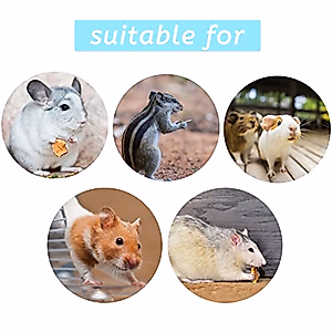 kathson Hamster Hideouts with Ladder,Hamsters Wooden House,Detachable Guinea Pigs Hut Chinchillas Habitats Cage Accessories for Gerbil Hedgehogs Bunny(L)