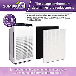 115115 replacement Filter for Winix Air Purifier C535 Filter A, 2 True HEPA(H13) Filter + 8 Activated Carbon Filters （2 Sets-A Total of 10）