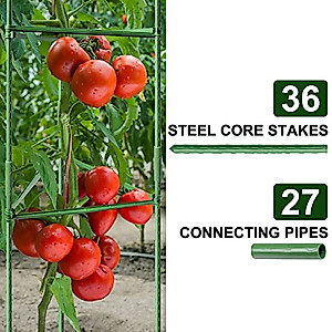 Odree 4 Pack Tomato Cages for Garden, 4ft Plant Support Garden Stakes, Garden Stakes Tomato Cage, Garden Trellis Stakes for Climbing Plants Vegetable