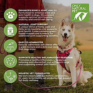 Only Natural Pet Hemp Hip & Joint Support for Dogs - Supplement for Mobility Wellness Pain Relief Healthy Inflammatory & Bone Stiffness - Chews w/Fatty Acid Blend Mussels & Turmeric - 60 Count