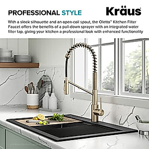 KRAUS Oletto 2-in-1 Commercial Style Pull-Down Single Handle Water Filter Kitchen Faucet for Reverse Osmosis or Water Filtration System in Spot-Free Antique Champagne Bronze, KFF-2631SFACB