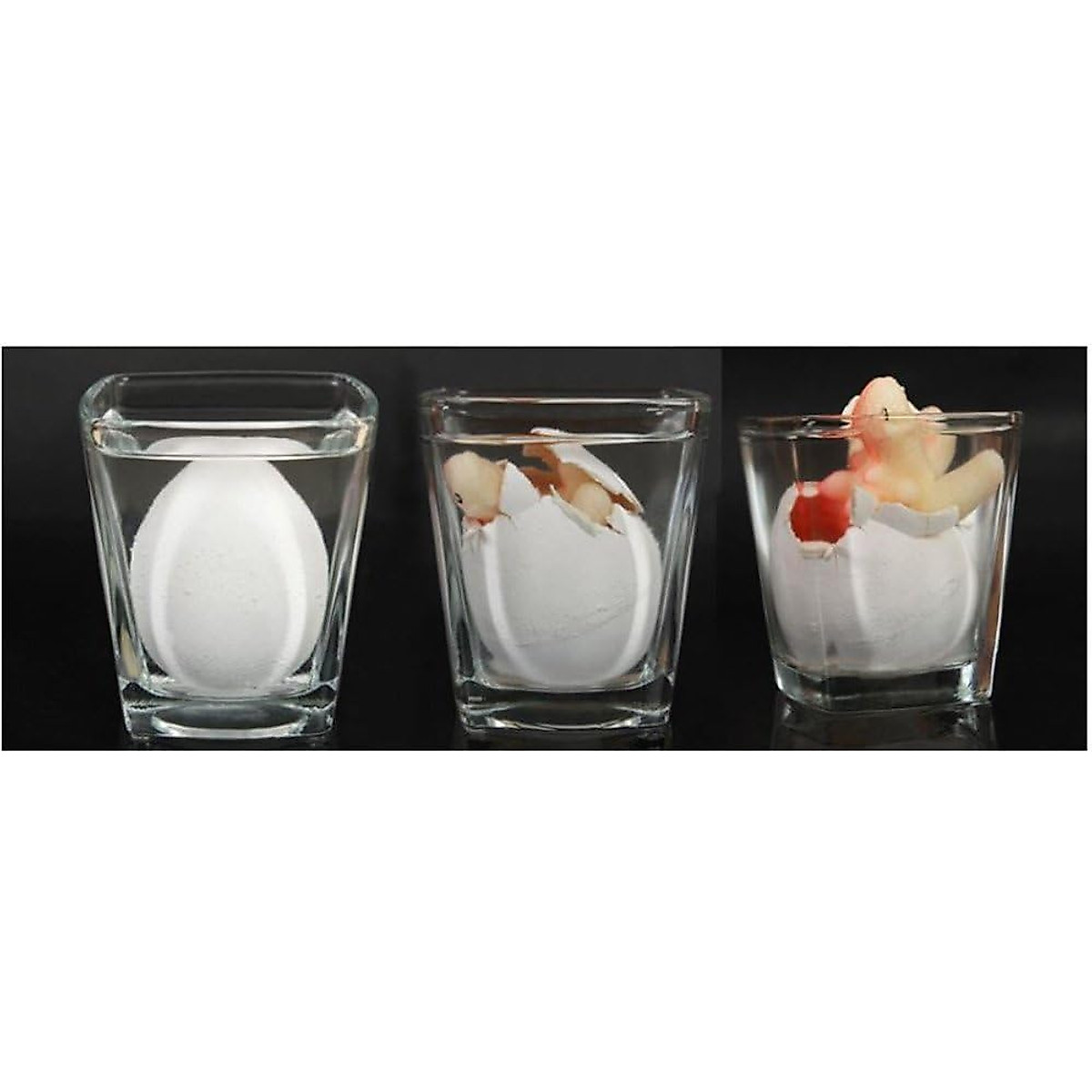 GracesDawn 12 Pack Dinosaur Egg Cute Magic Growing Dinosaur Egg Add Water Child Gift Hatching Inflatable Toy(Color Cracks)