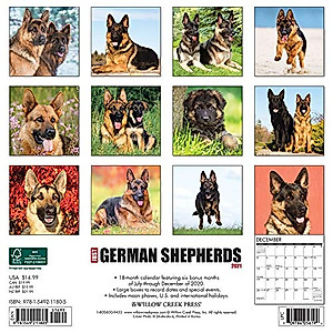 Just German Shepherds 2021 Wall Calendar (Dog Breed Calendar)