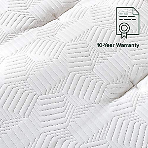 ZINUS 12 Inch Euro Top Pocket Spring Hybrid Mattress / Pressure Relief / Pocket Innersprings for Motion Isolation / Bed-in-a-Box, King