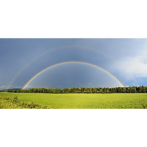 Double rainbow over trees and lush green field Quebec Canada Poster Print (22 x 10)