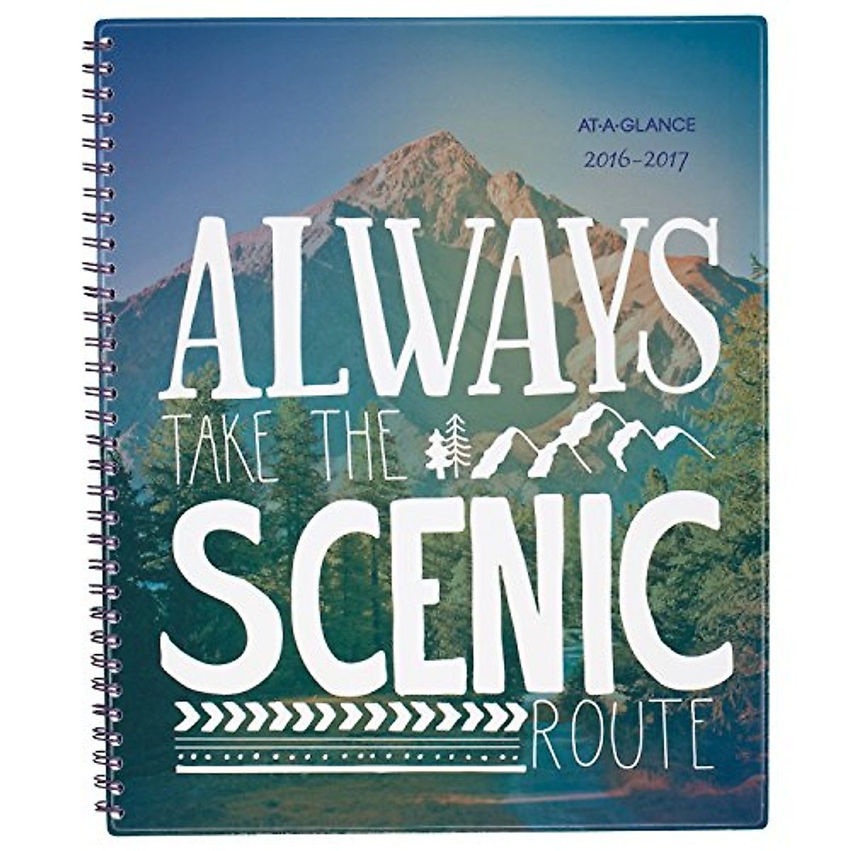 AT-A-GLANCE Academic Year Monthly Planner/Appointment Book, July 2016 - June 2017, 8-1/2"x11", Design Selected for You May Vary (183-900A)
